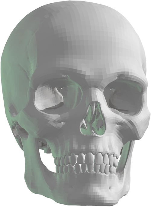 3D Skull Lighting Reference